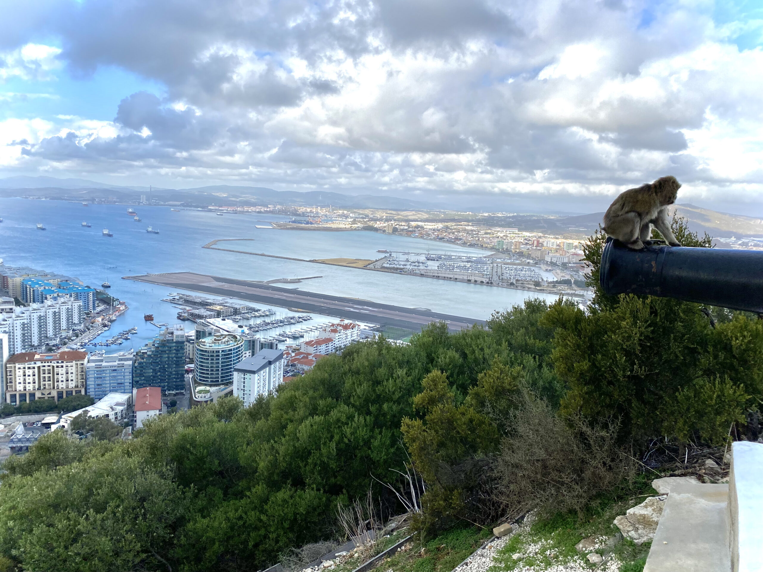 Que ver en Gibraltar y que saber antes de ir - Rama por el Mundo