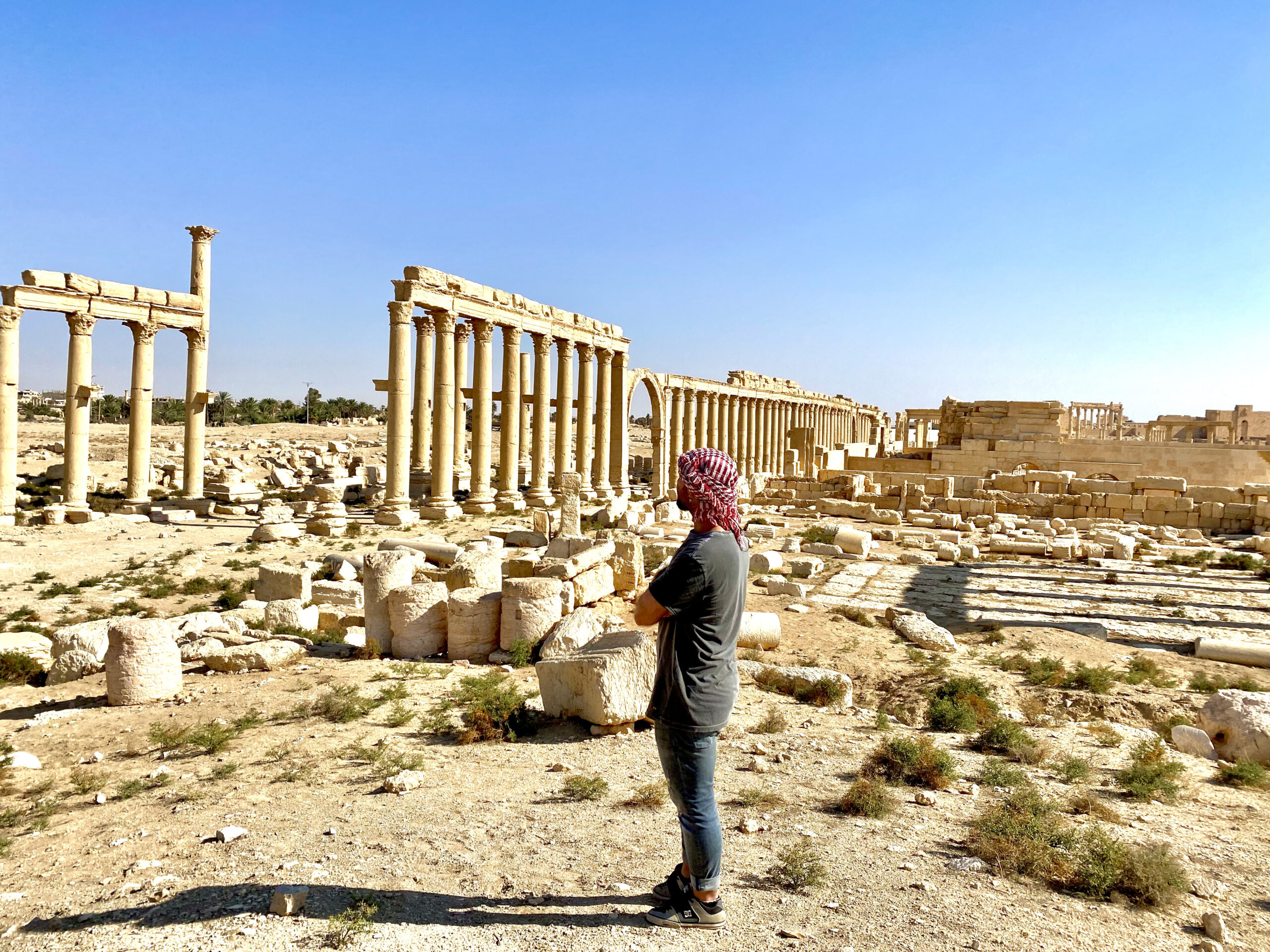 ¿Es posible visitar Palmyra? - A dónde nadie volvió después de la ...